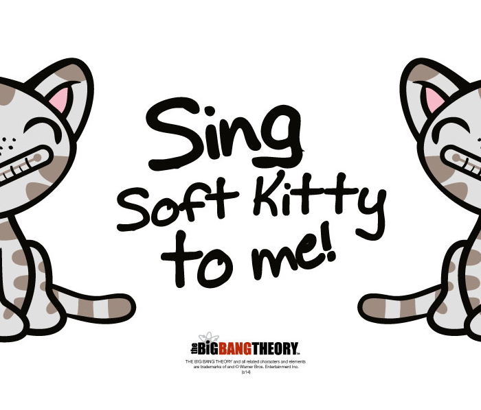 Kubek ceramiczny The Big Bang Theory - Sing Soft Kitty To Me 330ml ...